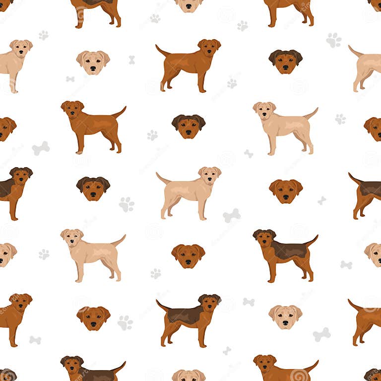 Sharp Eagle Seamless Pattern. Shar Pei - Beagle Mix Stock Vector ...