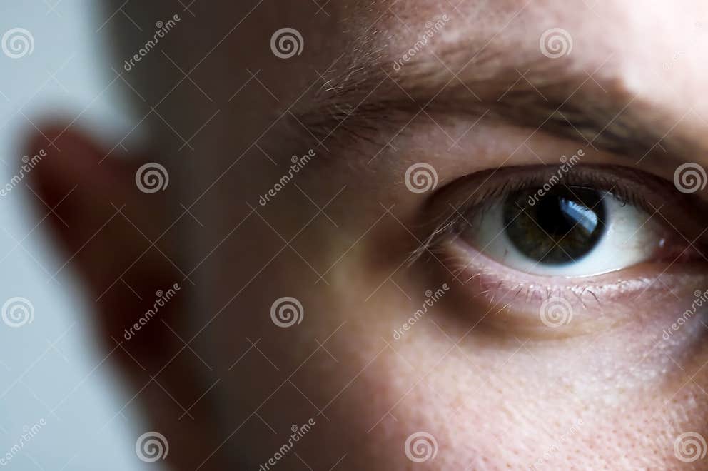 Sharp eye stock photo. Image of pupil, head, optical, idea - 2084960
