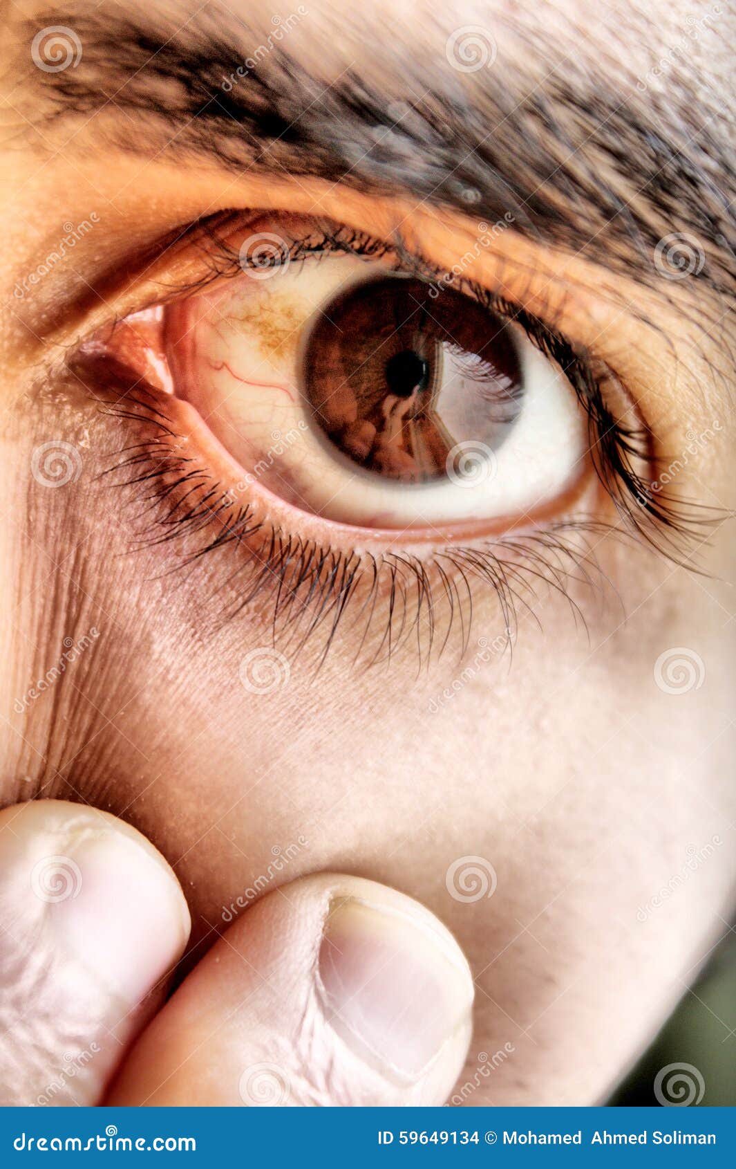 Sharp eye stock photo. Image of egypt, humain, cornea - 59649134