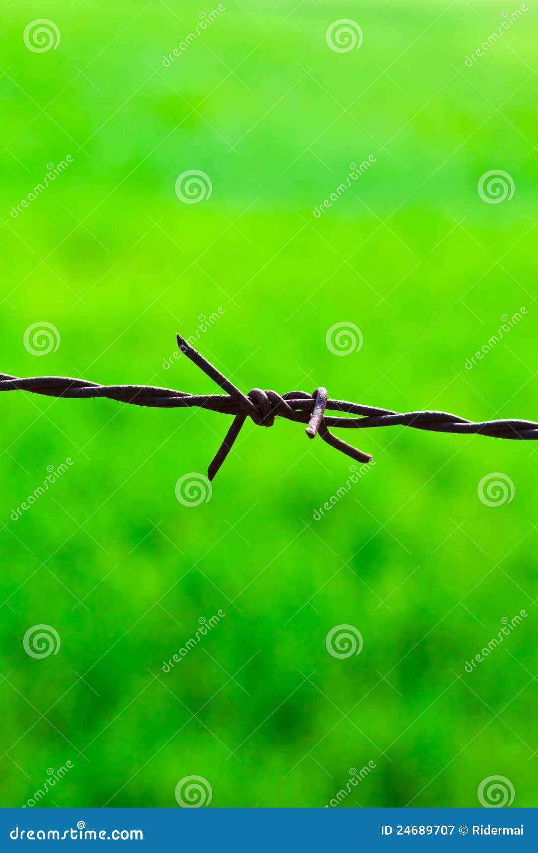 The sharp fence stock image. Image of defend, iron, gate - 24689707