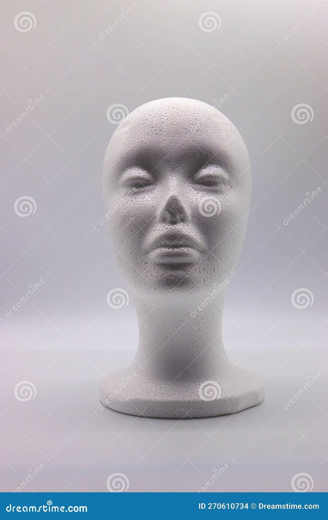 Feminine Styrofoam Mannequin, Wig Stand, Black and White, Light and ...
