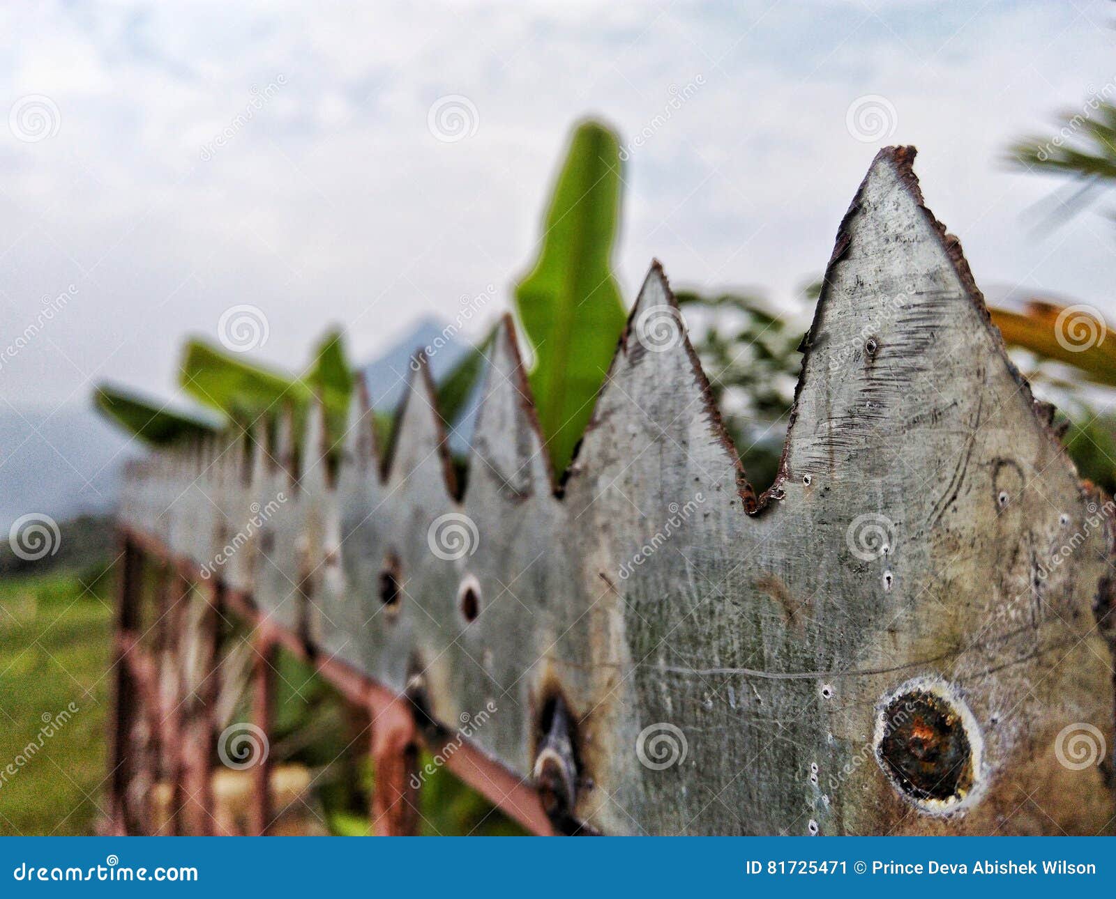 Sharp gate stock image. Image of protect, sharp, gate - 81725471