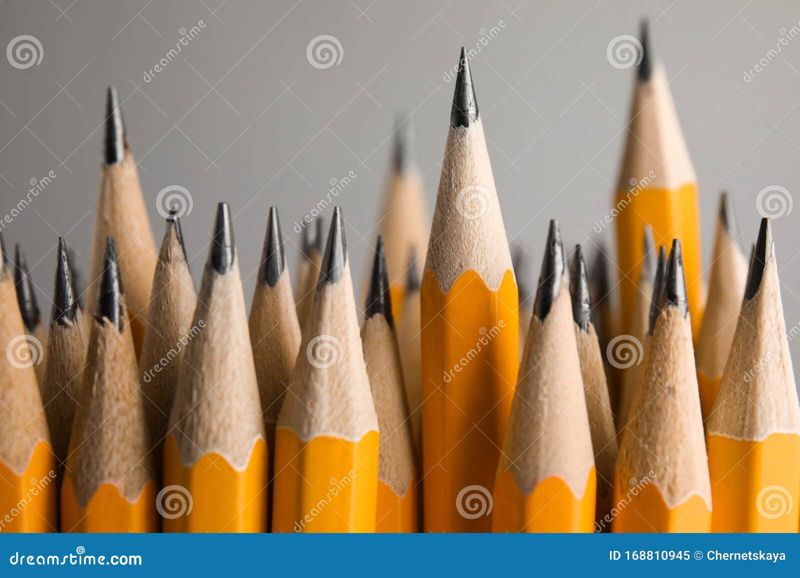Sharp Graphite Pencils on Grey Background Stock Image - Image of ...