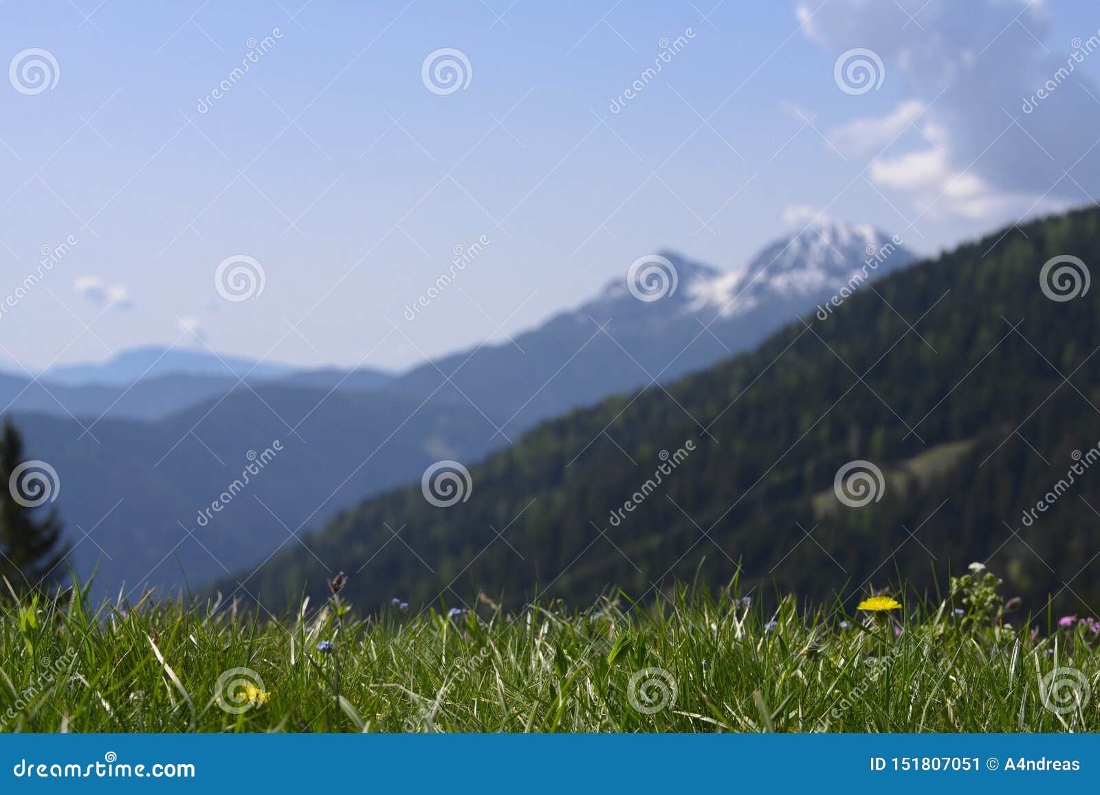 Sharp Grass Meadow in Front and Unsharp Mountains Stock Image - Image ...