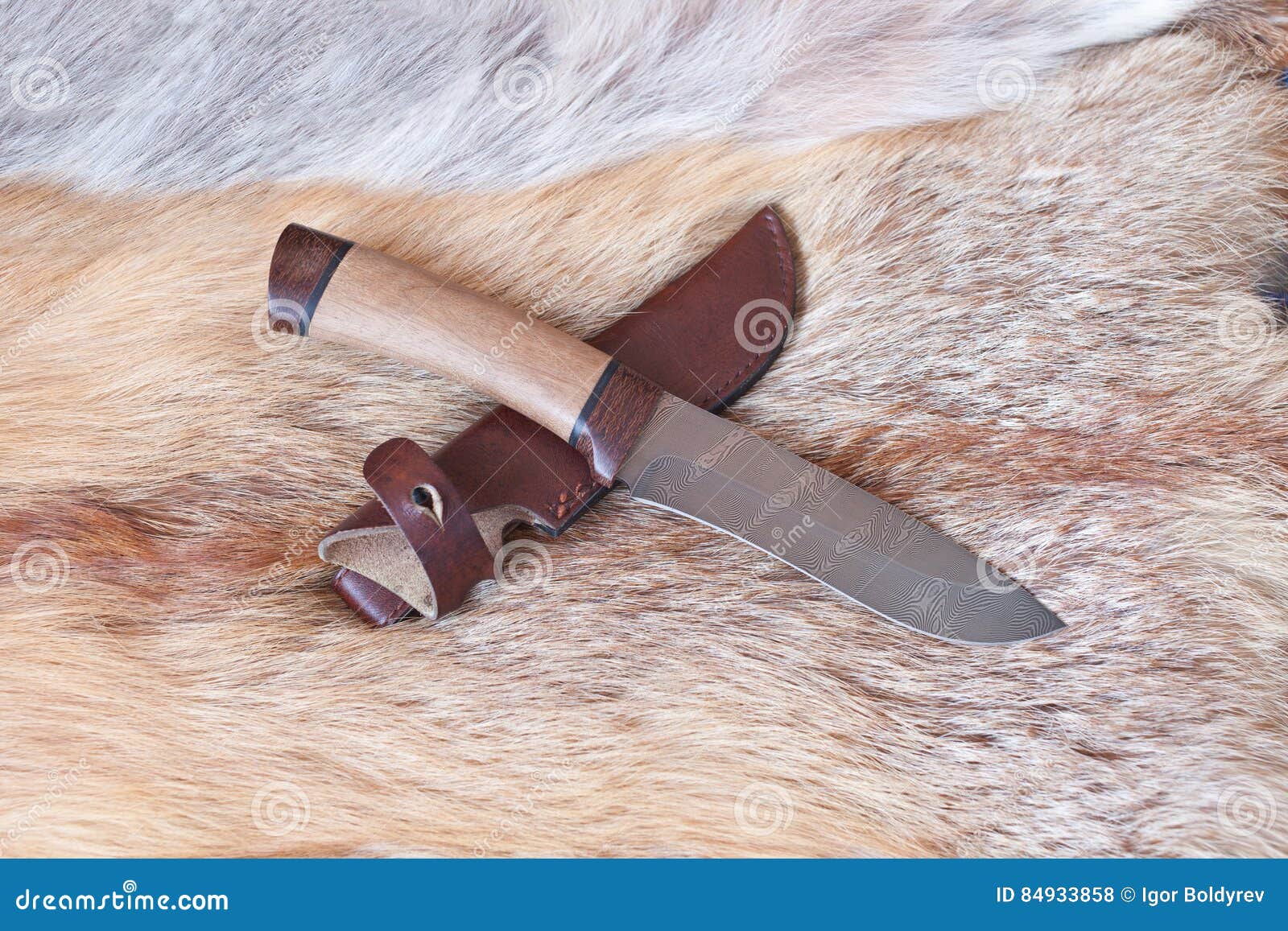 Sharp hunting knife stock photo. Image of mammal, metal - 84933858