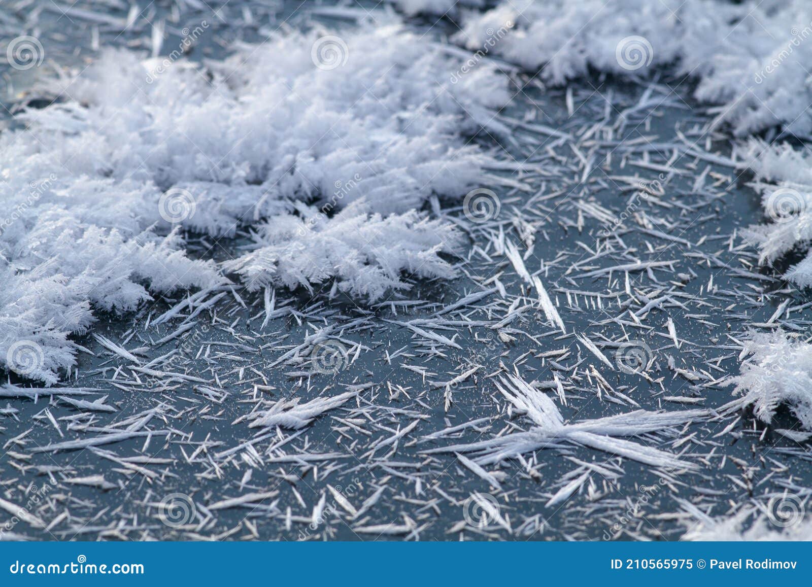 Sharp Ice Crystals Cover the Young Ice Stock Image - Image of cold ...