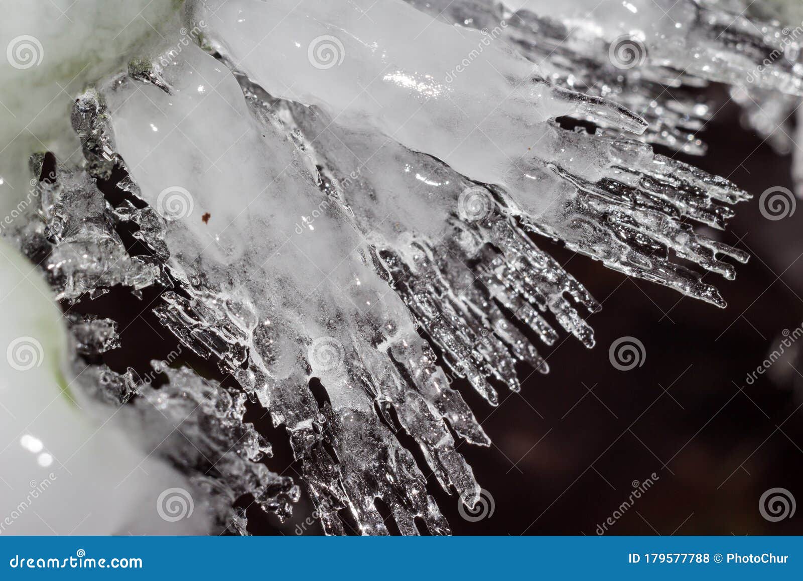 Sharp Ice Growths on Grass and Plants Stock Photo - Image of macro ...