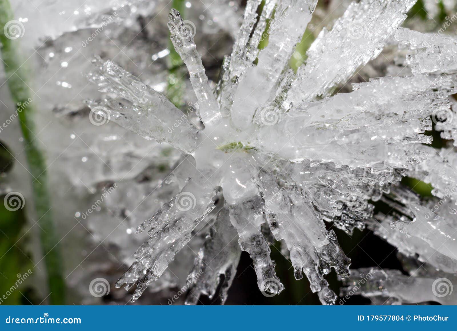 Sharp Ice Growths on Grass and Plants Stock Photo - Image of outdoor ...