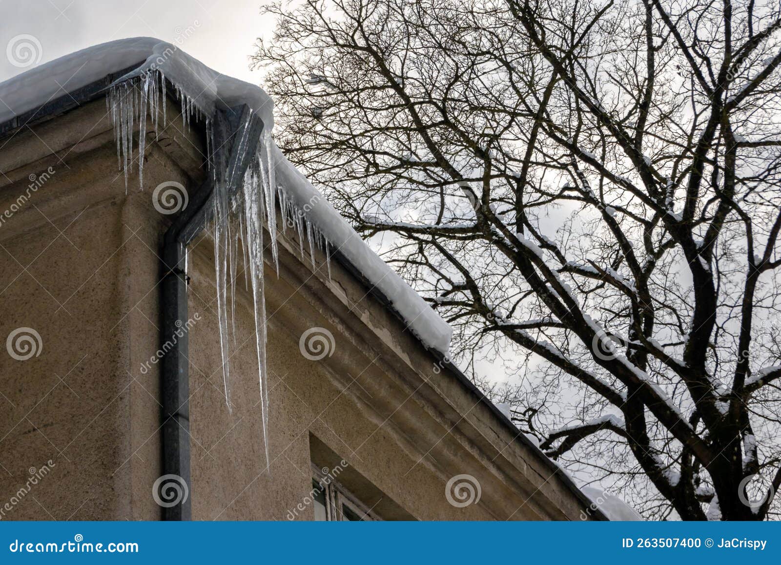 Sharp Icicles Hanging on the Edge of the Roof. Melting Snow Forms ...