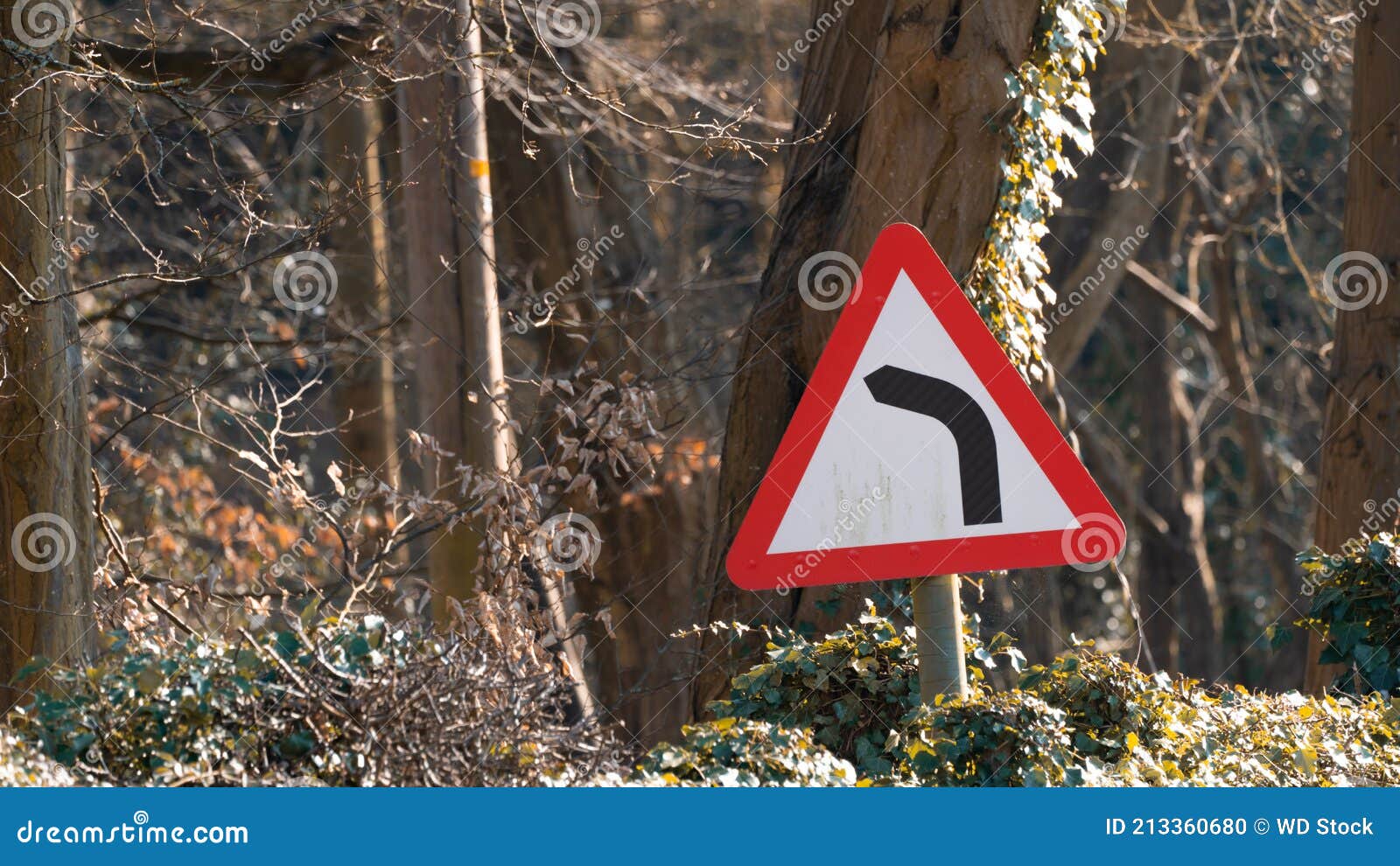 Sharp Left Turn Warning Side Stock Photo - Image of school, danger ...