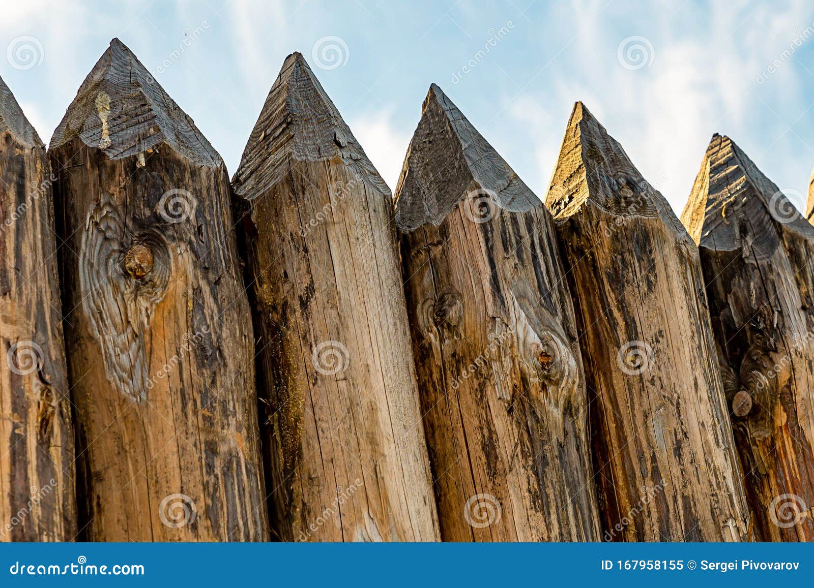 Sharp Logs Row of Pointed Trunks the Base of a Wooden Fence Stands ...