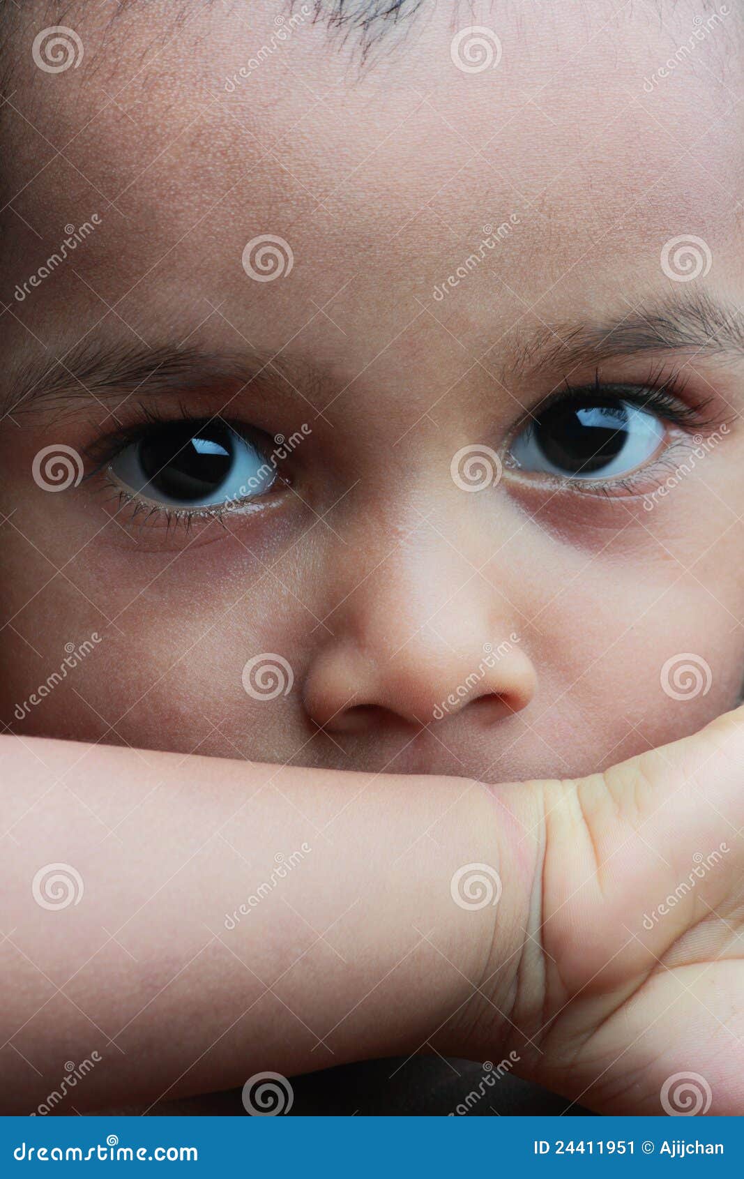 Sharp looking face stock image. Image of behavior, little - 24411951