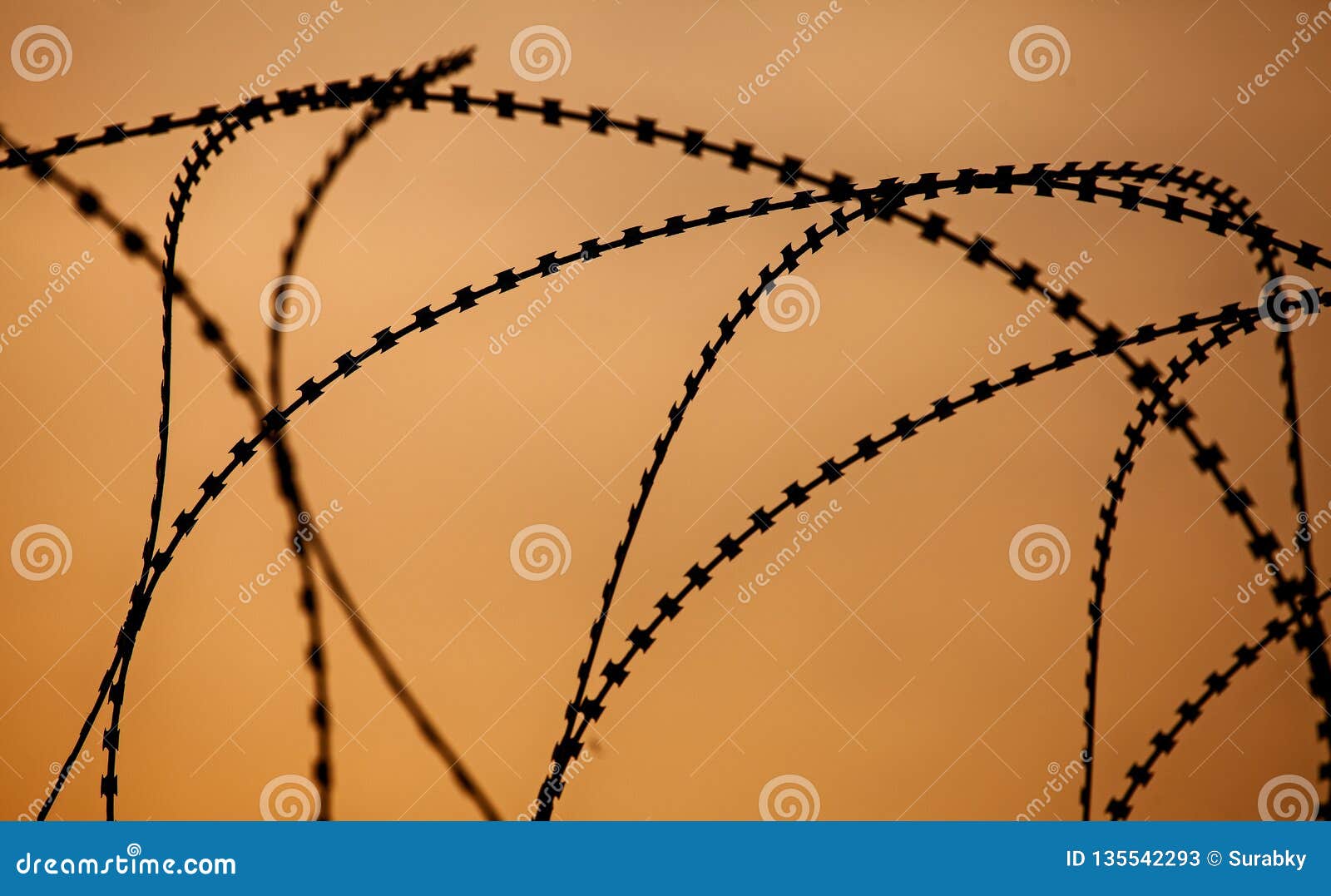 Barbed Wire in Grunge Style Process Stock Image - Image of military ...