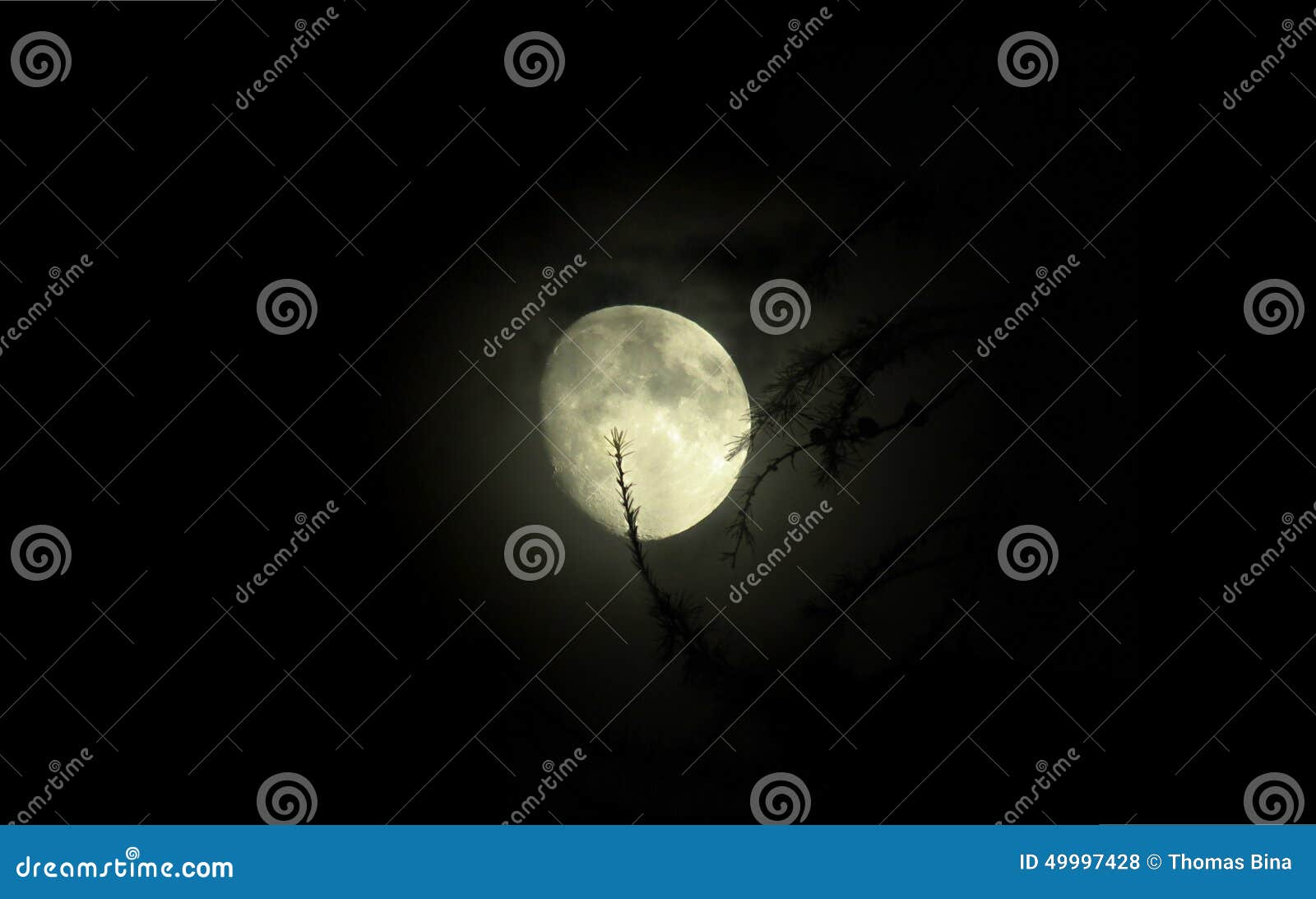 Sharp Moon Royalty-Free Stock Image | CartoonDealer.com #49997428