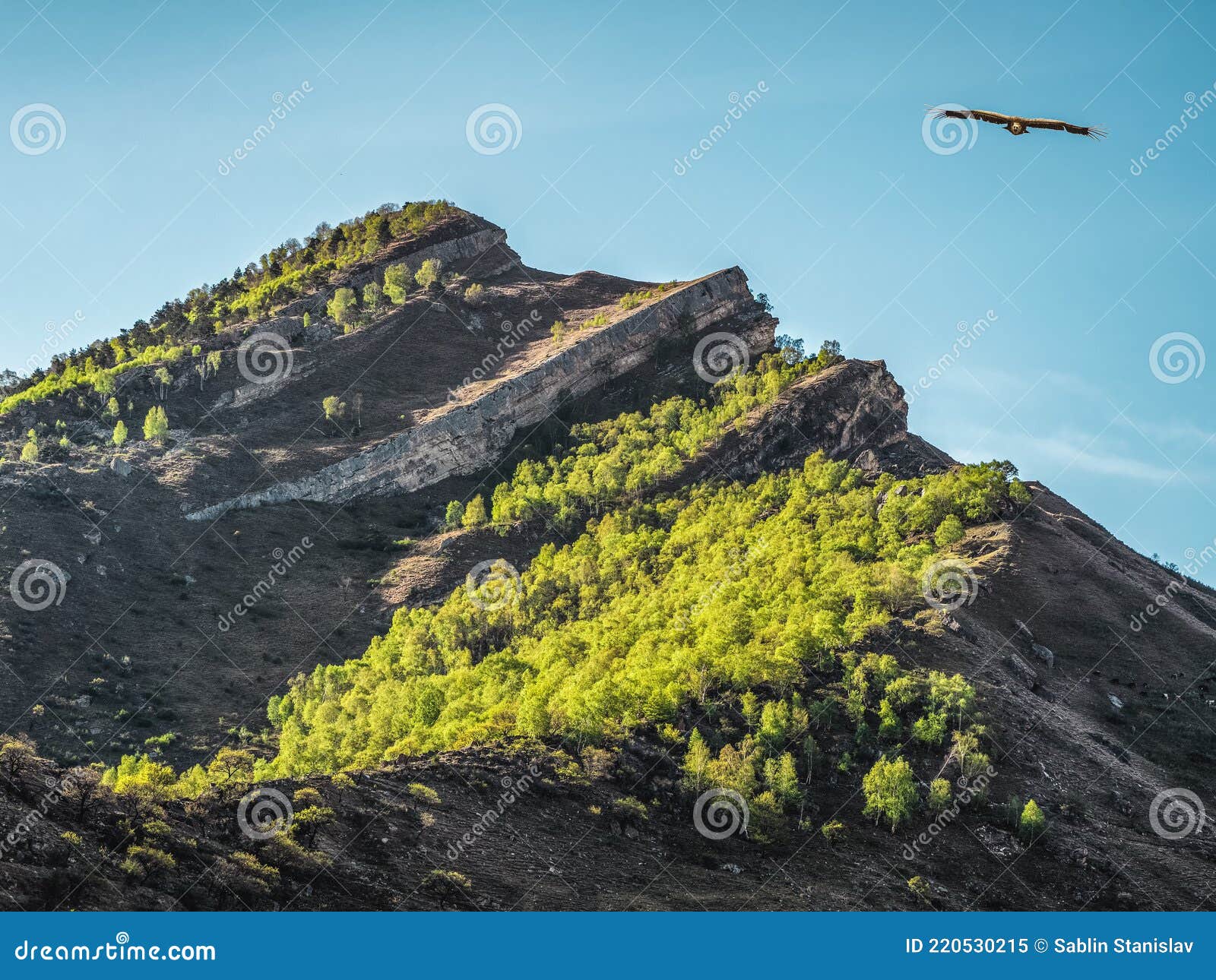 Sharp Mountain Peaks Covered with Green Forest Against the Blue Sky ...
