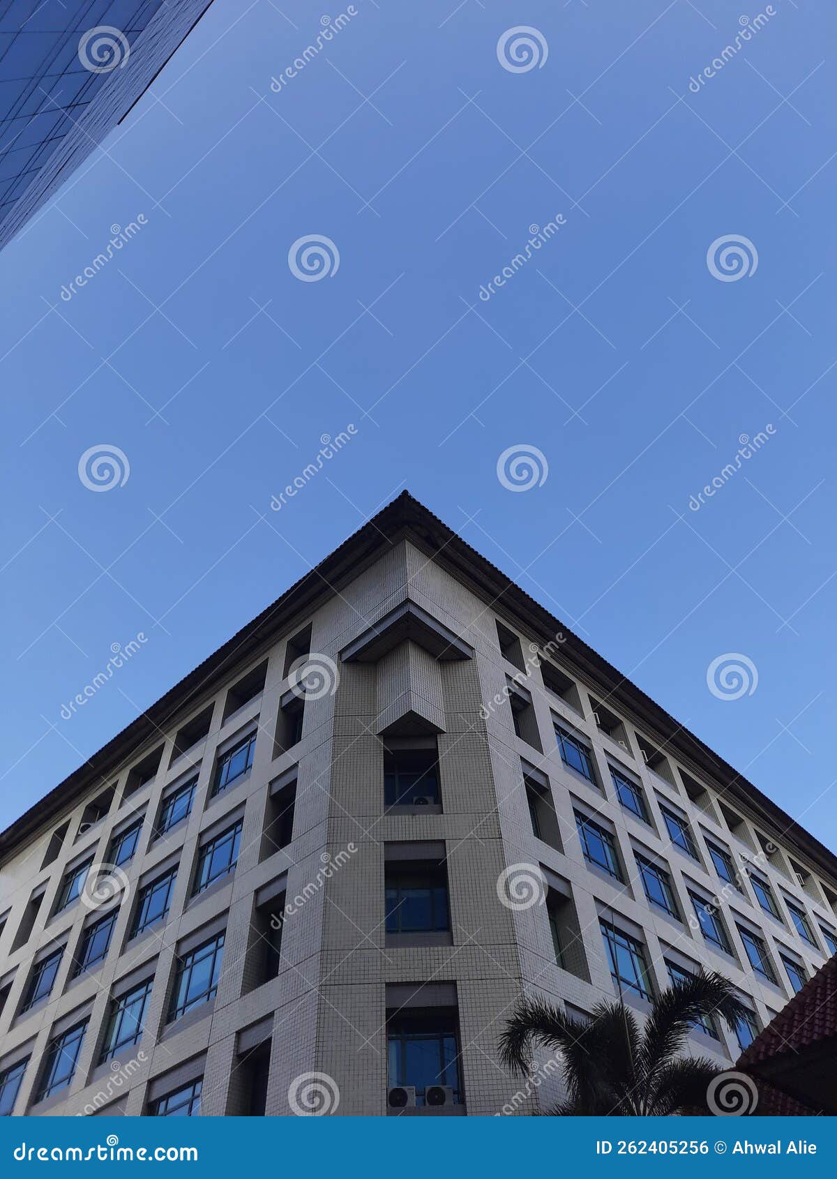 A sharp office building stock photo. Image of tower - 262405256