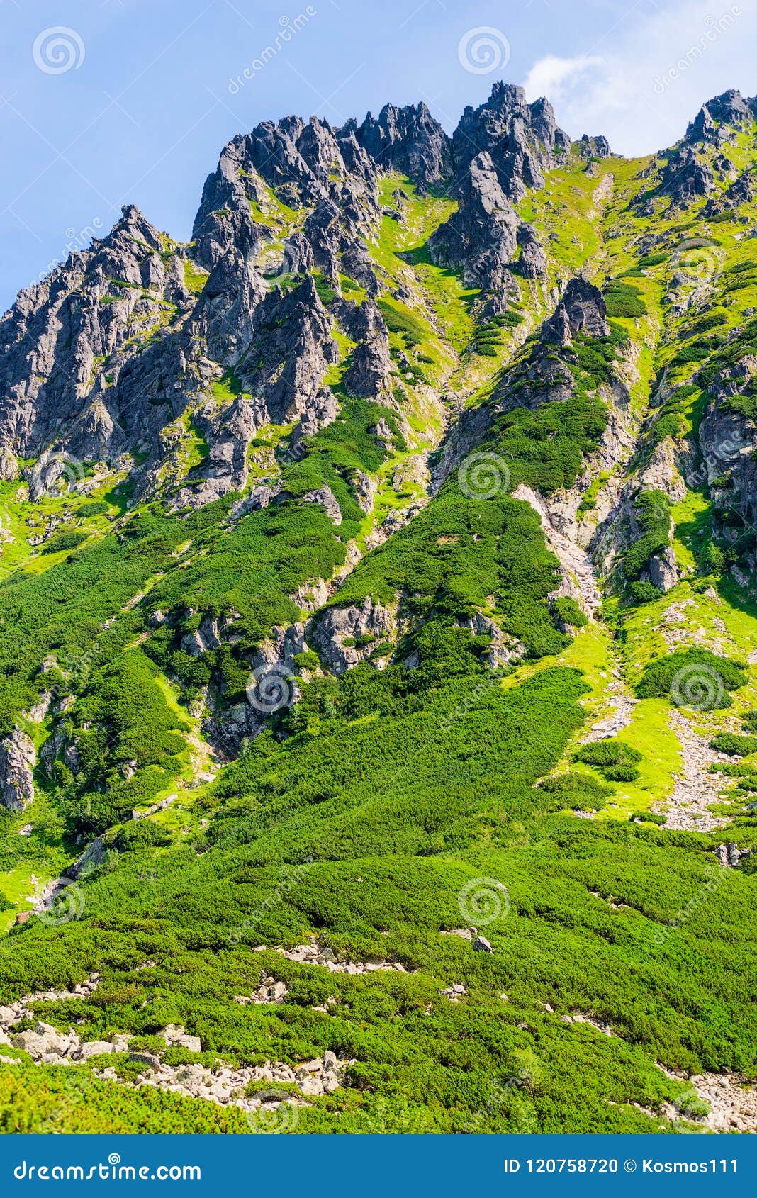 Sharp Peak of Mountains of High Tatras Stock Photo - Image of summer ...