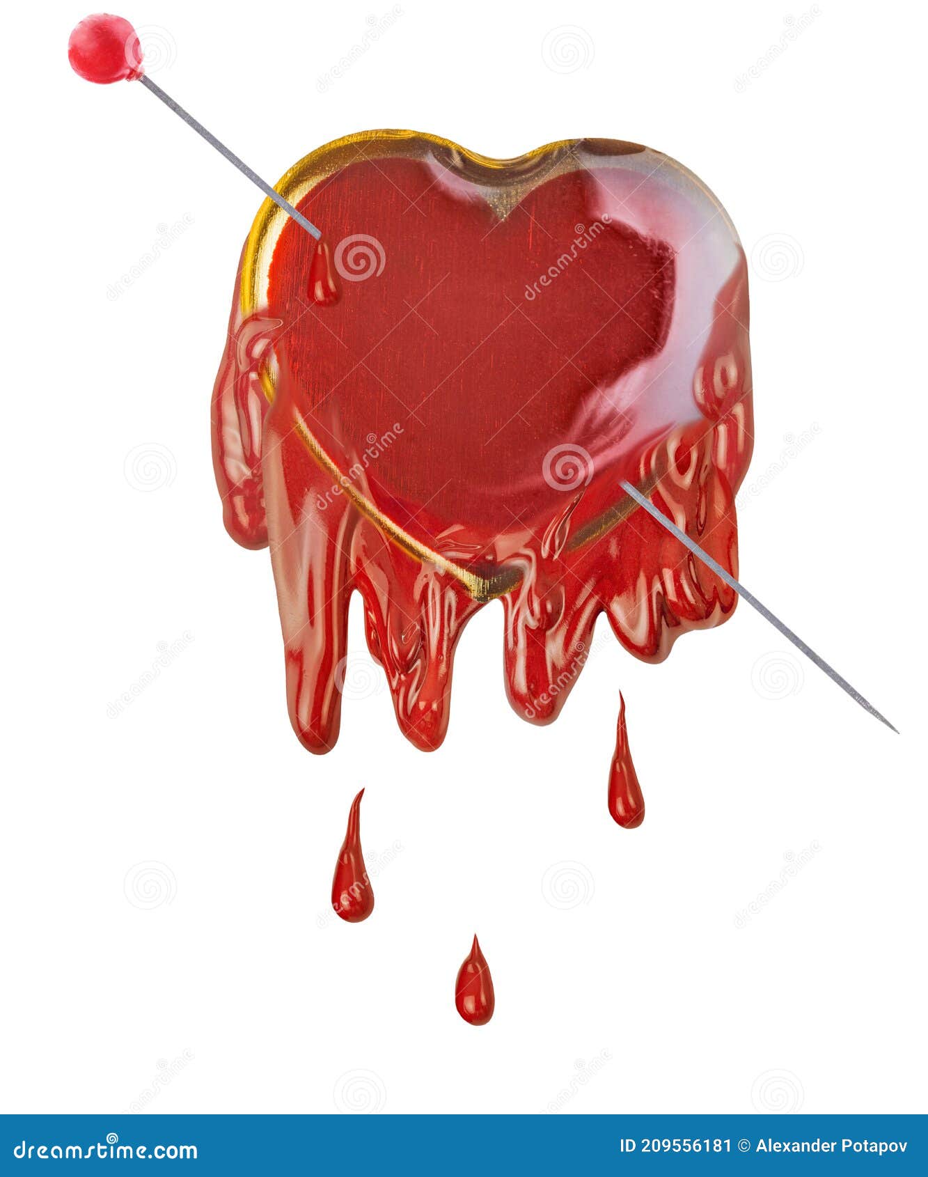 Sharp Pin in Bleeding Heart Isolated on White Stock Image - Image of ...