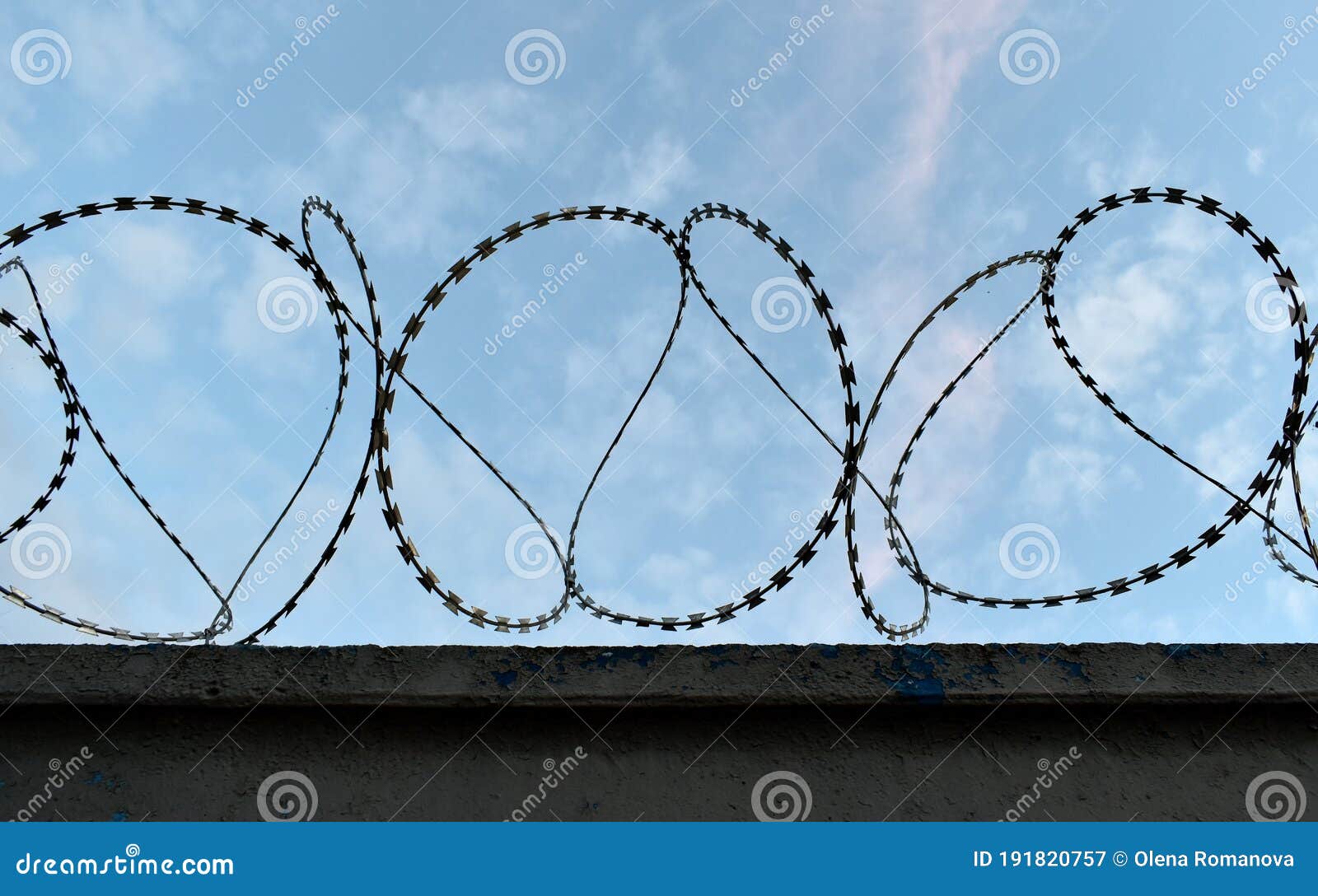 Sharp Protective Barbed Wire with Sharp Prongs on the Fence Stock Image ...