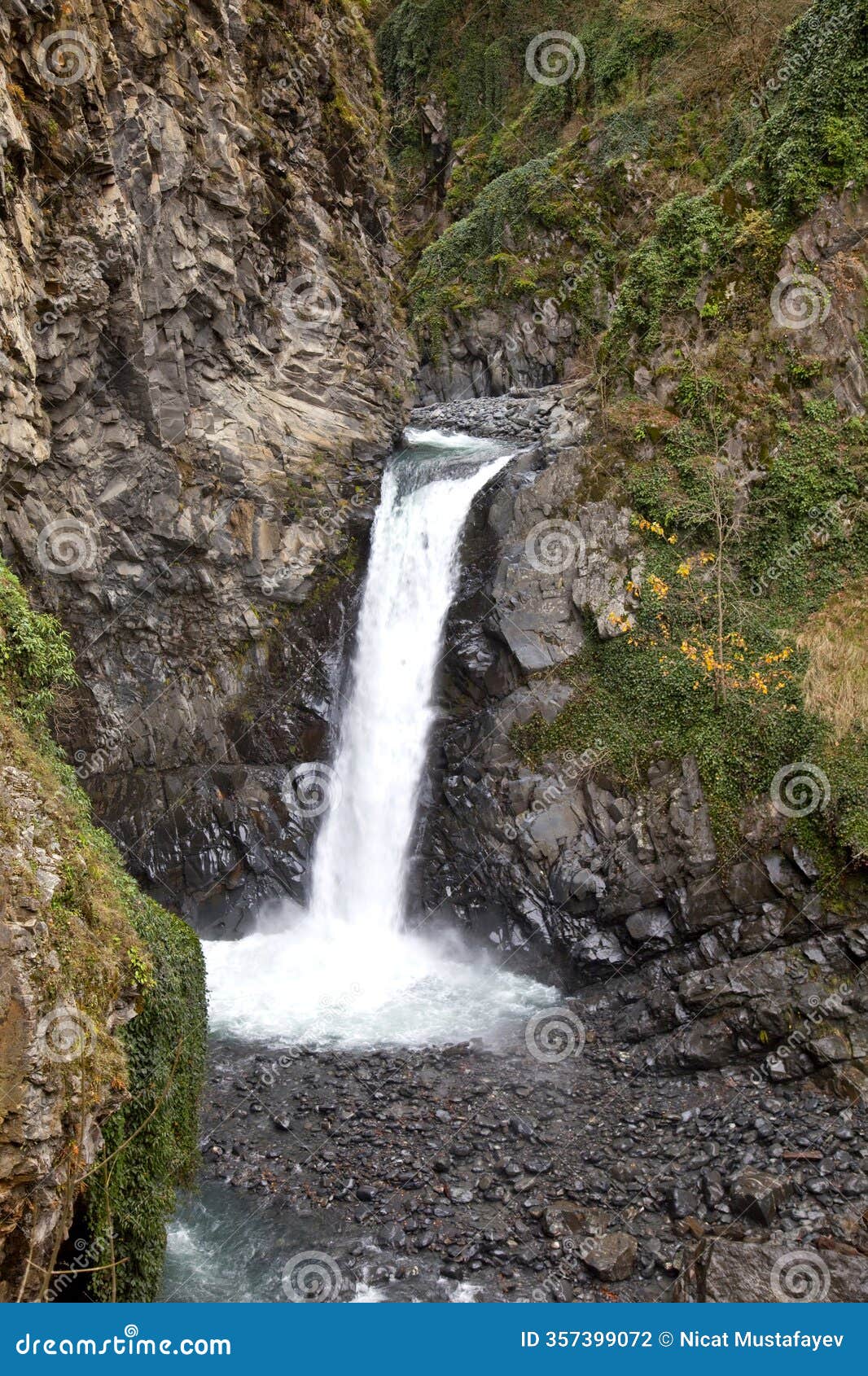 A Sharp River Flowing in the Forest. a Mountain River. a River of ...