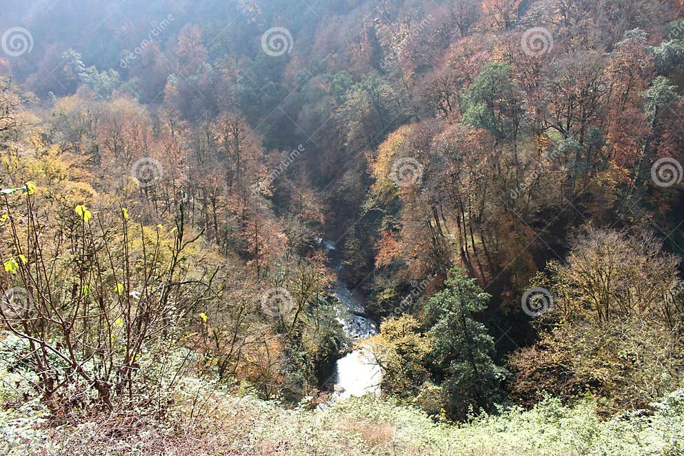 A Sharp River Flowing in the Forest. a Mountain River. a River of ...