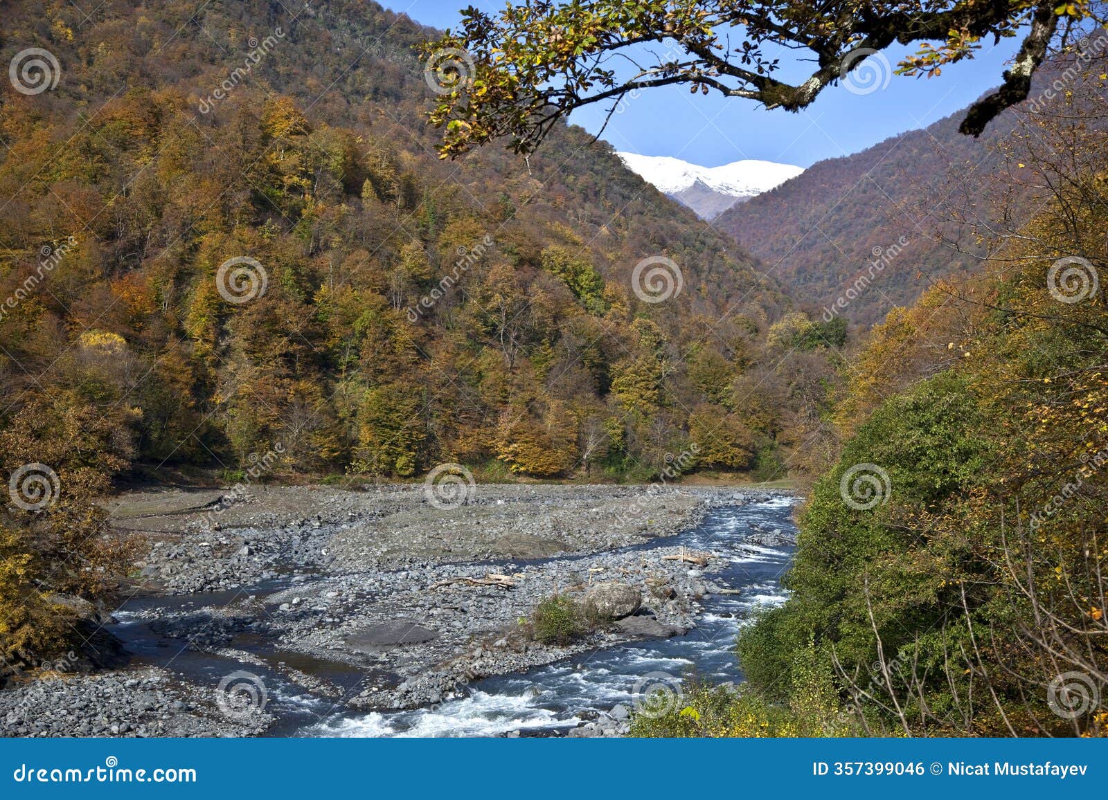 A Sharp River Flowing in the Forest. a Mountain River. a River of ...