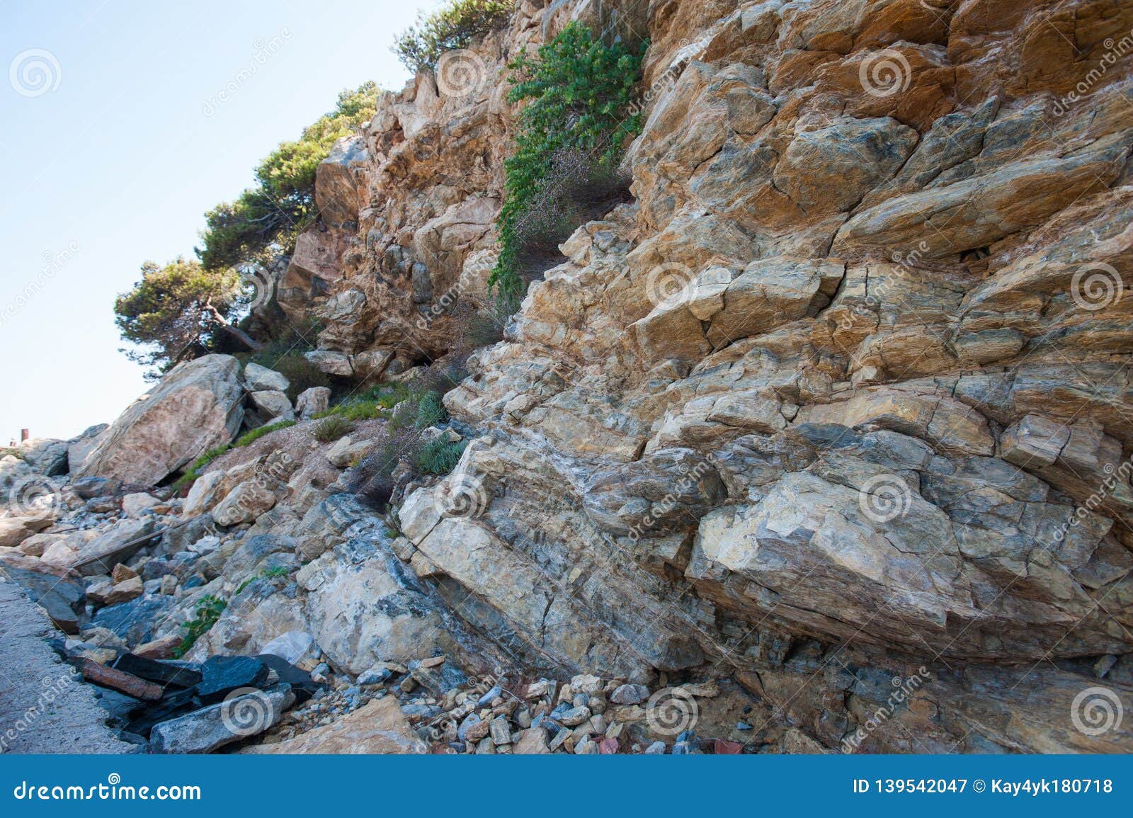 Sharp Rock Near the Trees Growing on it Stock Image - Image of gong ...