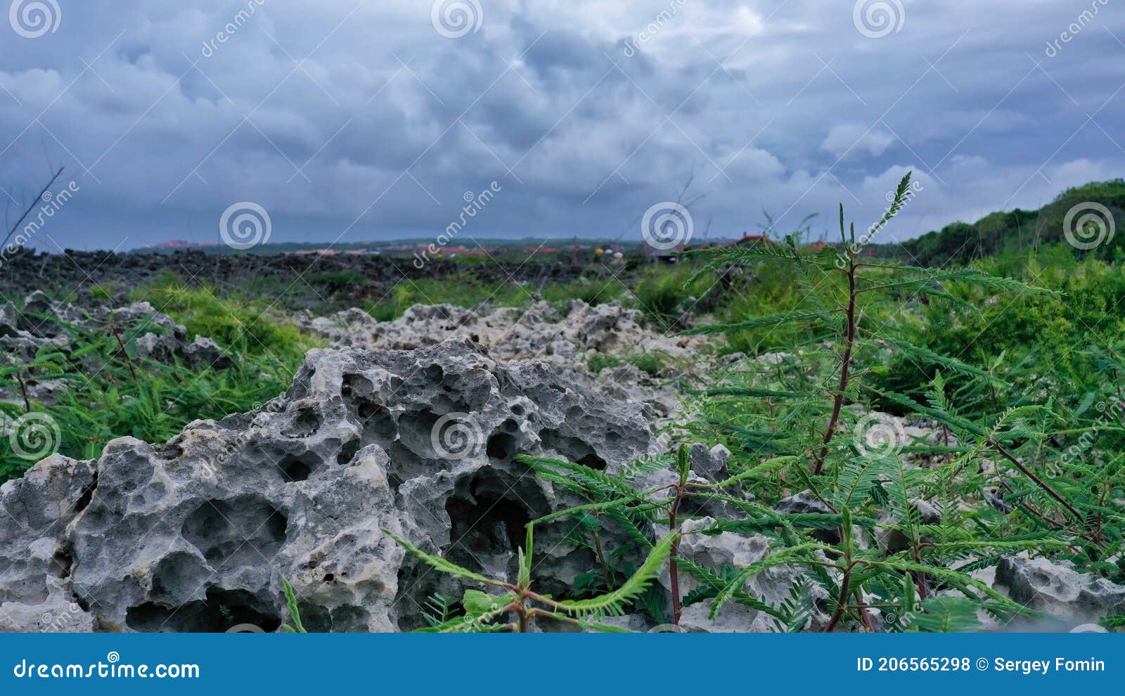 Sharp rocks on the beach stock photo. Image of nature - 206565298