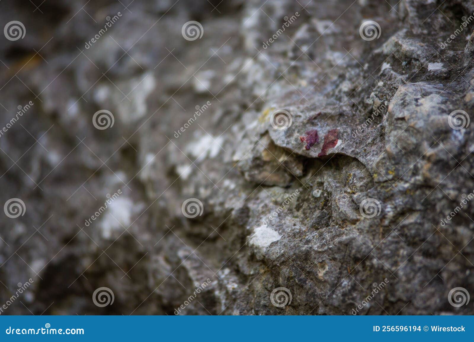 Sharp rocks in the cave stock photo. Image of geology - 256596194