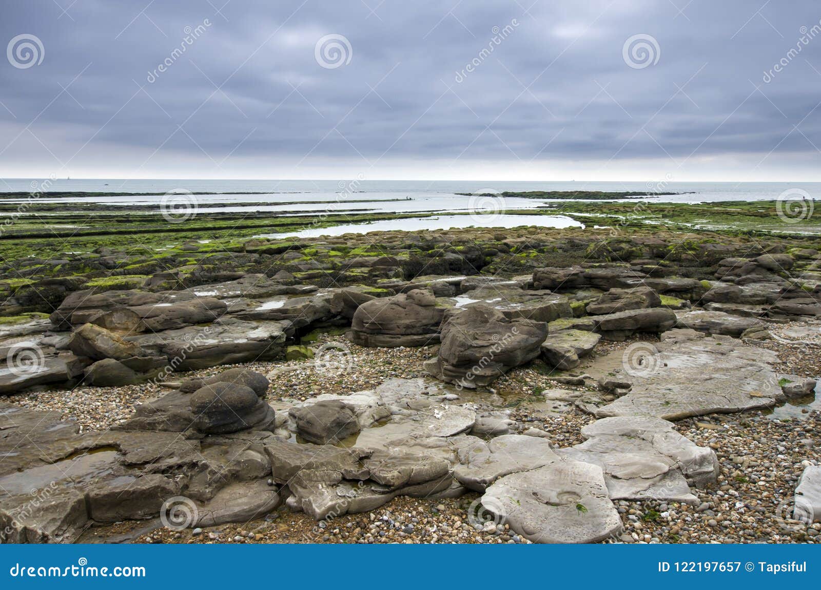 Sharp rocks on shore stock image. Image of macro, closeup - 122197657