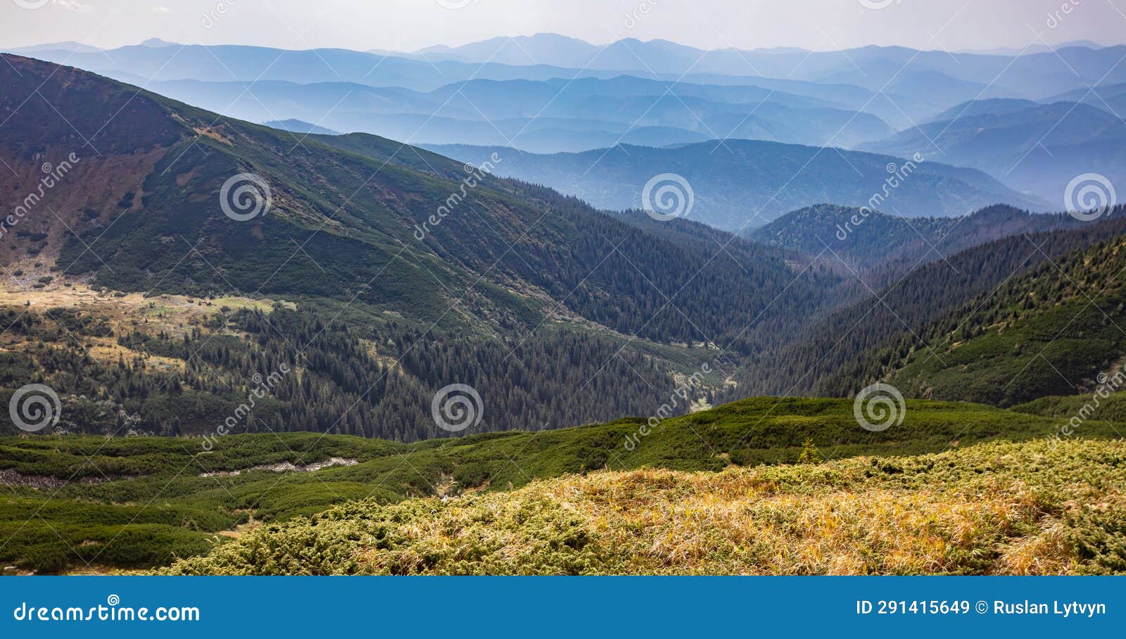 Sharp Rocks of Shpytsi Mountain in Chornohora Mountain Range Stock ...