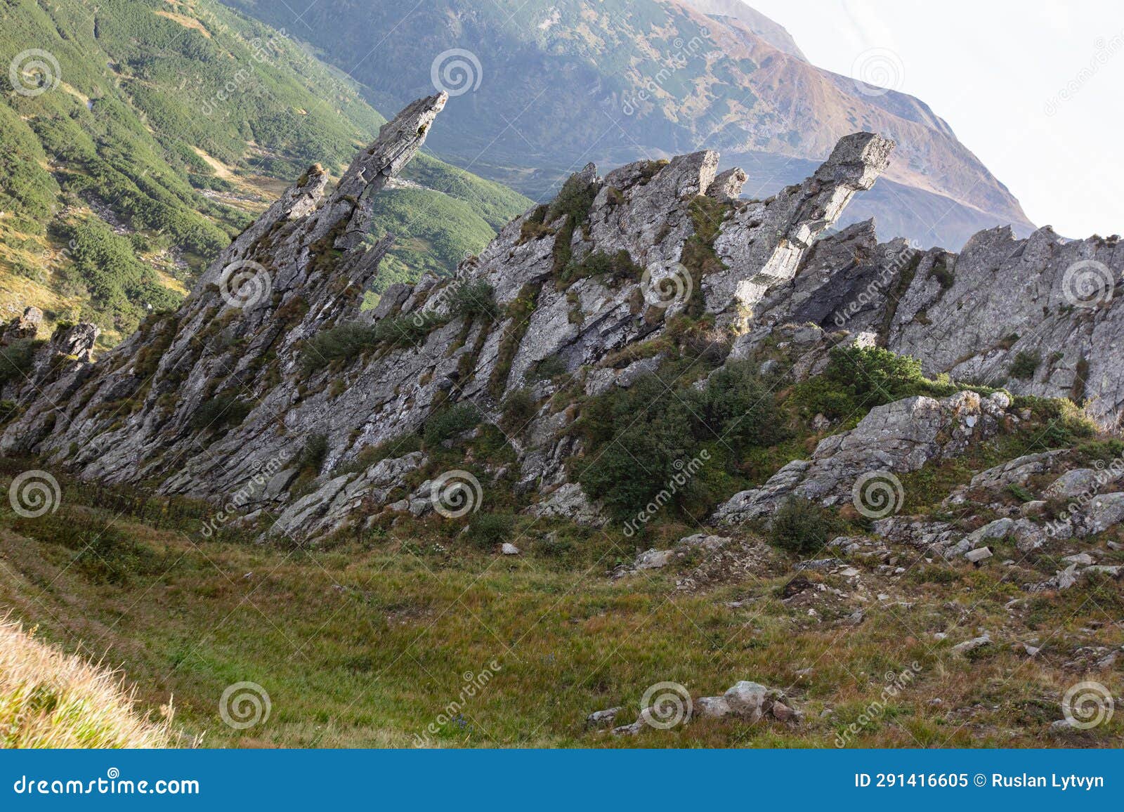 Sharp Rocks of Shpytsi Mountain in Chornohora Mountain Range in ...