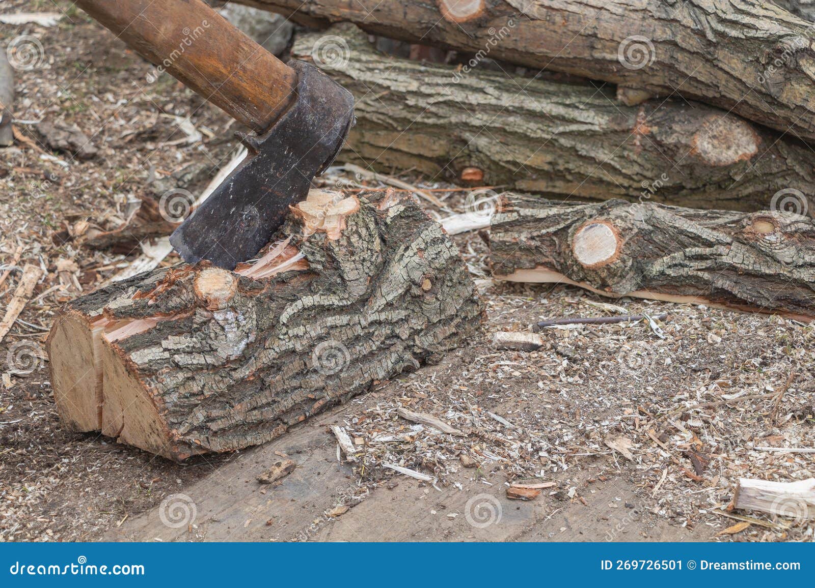 Sharp and Rustic: an Ax Embedded in Wood Stock Image - Image of ...