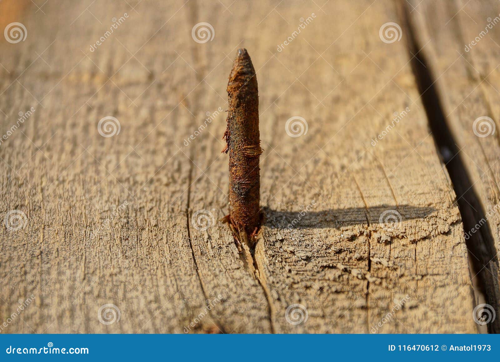A Sharp Rusty Nail Sticks Out of the Board Stock Photo - Image of nail ...
