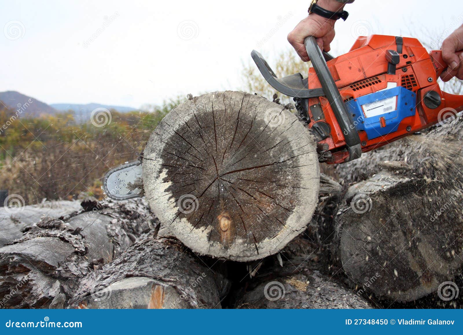 The Sharp Saw Quickly Cuts Wood Stock Photo - Image of person, crack ...