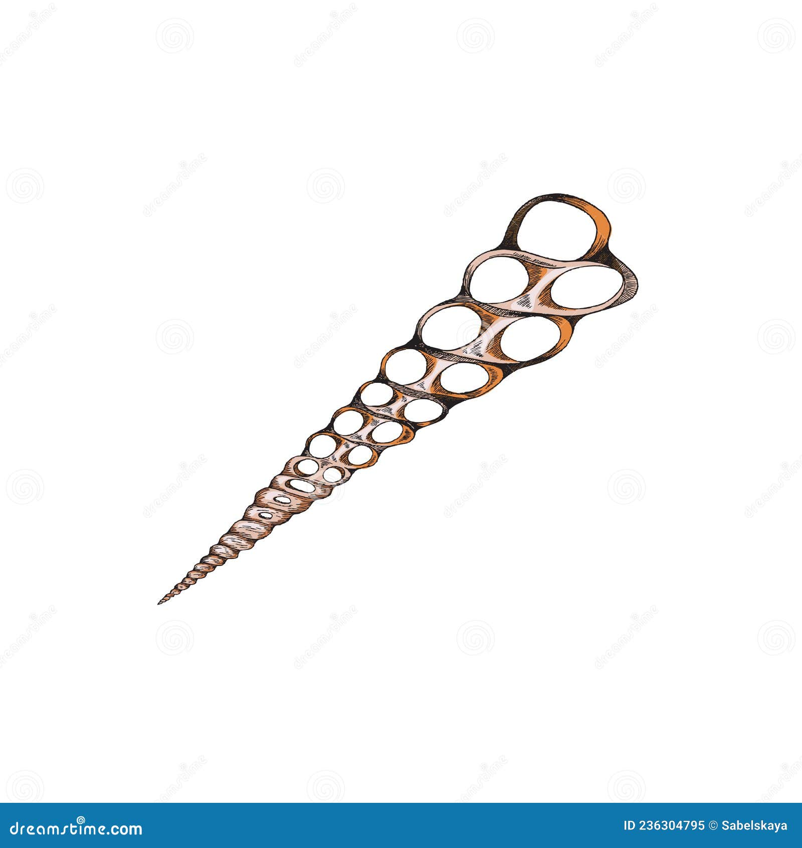 Sharp Seashell with Holes in Hand Drawn Sketch Style, Vector ...