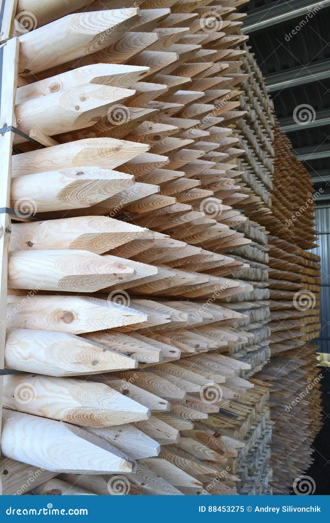 Sharp Stakes in Stock Lumber Stock Image - Image of number, sawmill ...