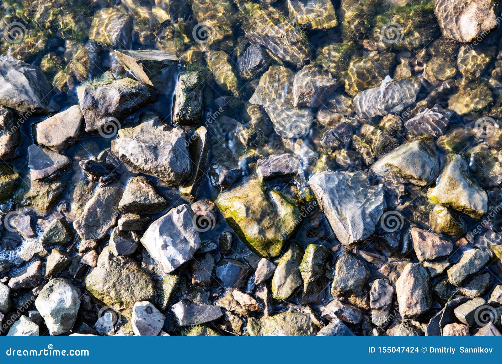 Sharp Stones in the Water by Stock Photo - Image of natural, peace ...
