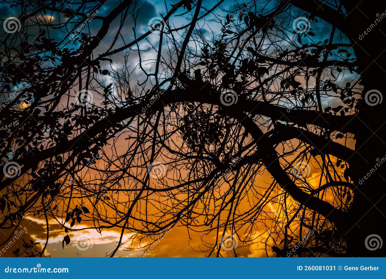 Sharp Sunset stock image. Image of black, beauty, light - 260081031