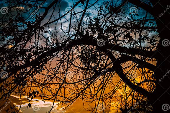 Sharp Sunset stock image. Image of black, beauty, light - 260081031