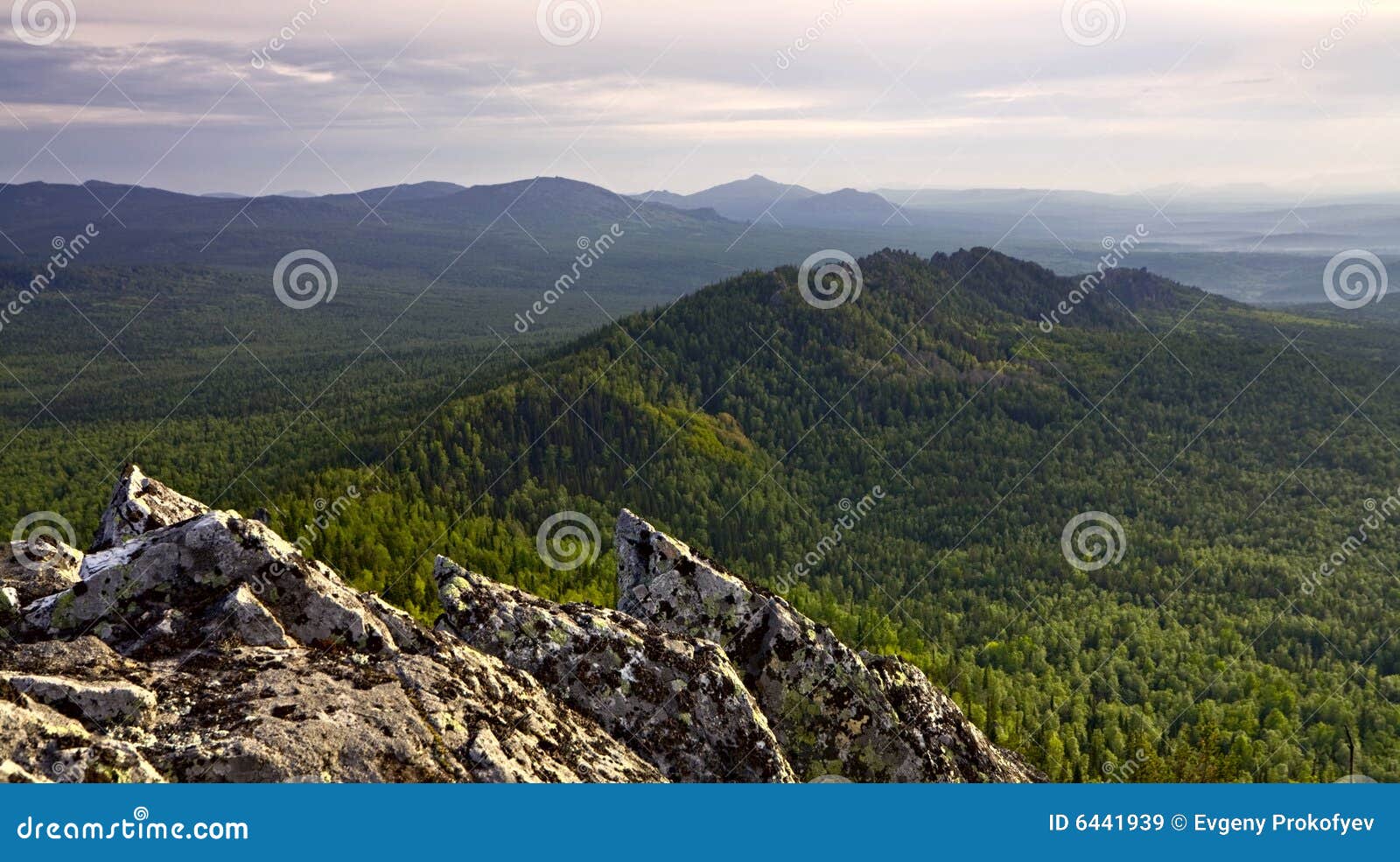 Sharp Teeth of Mountain Ridge Stock Image - Image of knoll, trees: 6441939