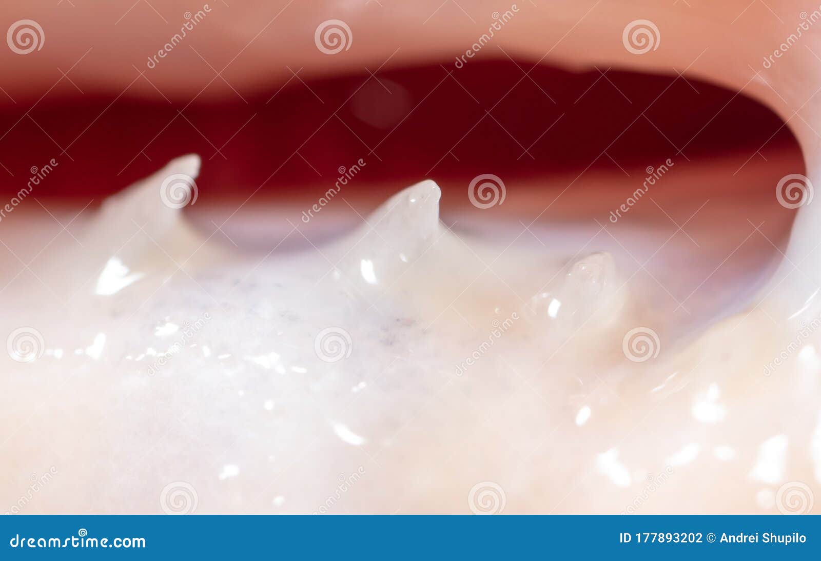 Sharp Teeth of a Trout Fish As a Background Stock Photo - Image of ...