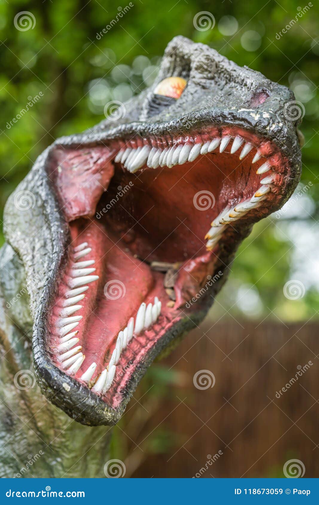 Sharp Teeth of a Velociraptor Dinosaur Stock Image - Image of carnivore ...