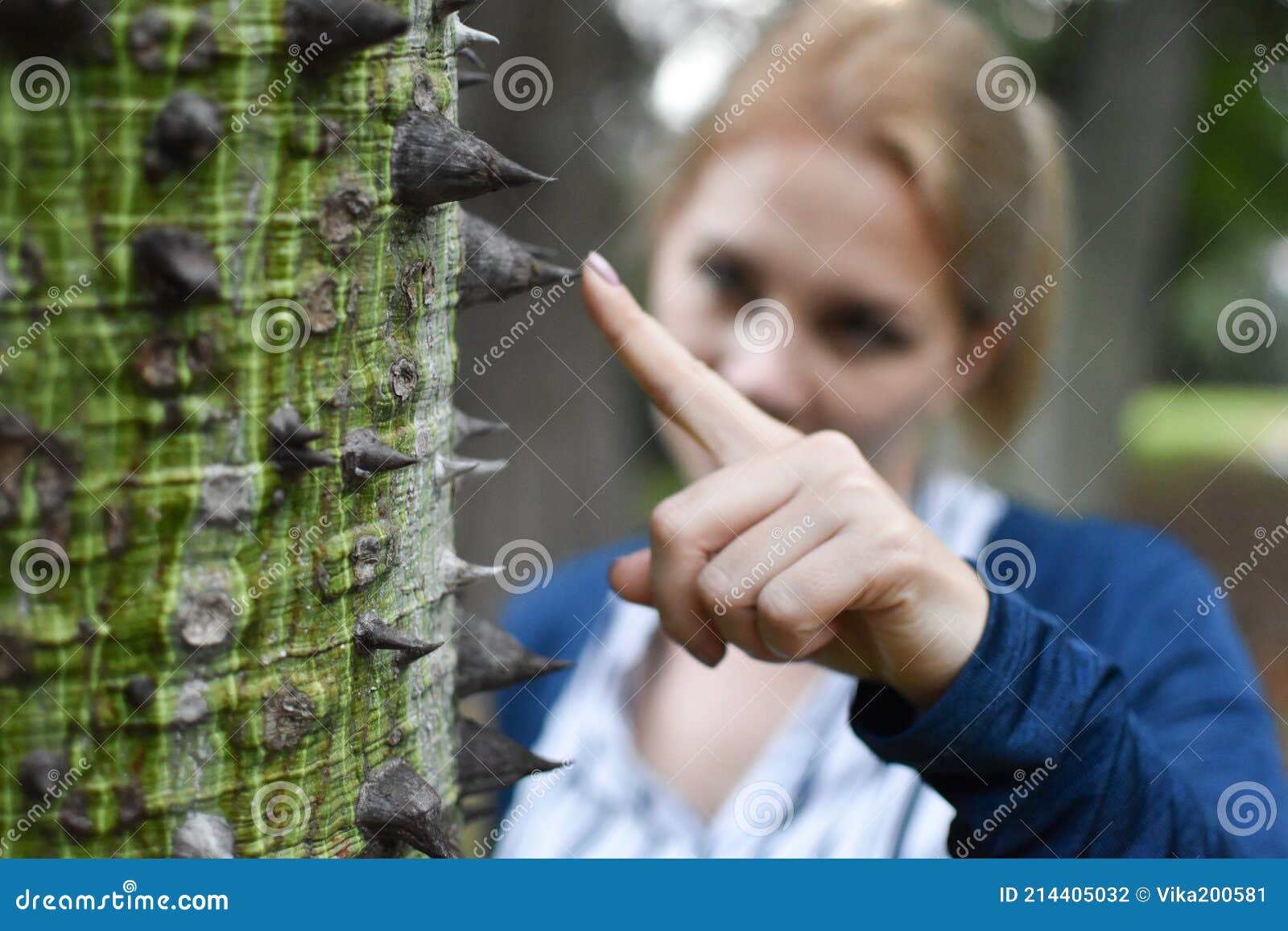 Sharp Thorns on the Tree. Piercing the Hand with a Plant. Sharp Pain in ...