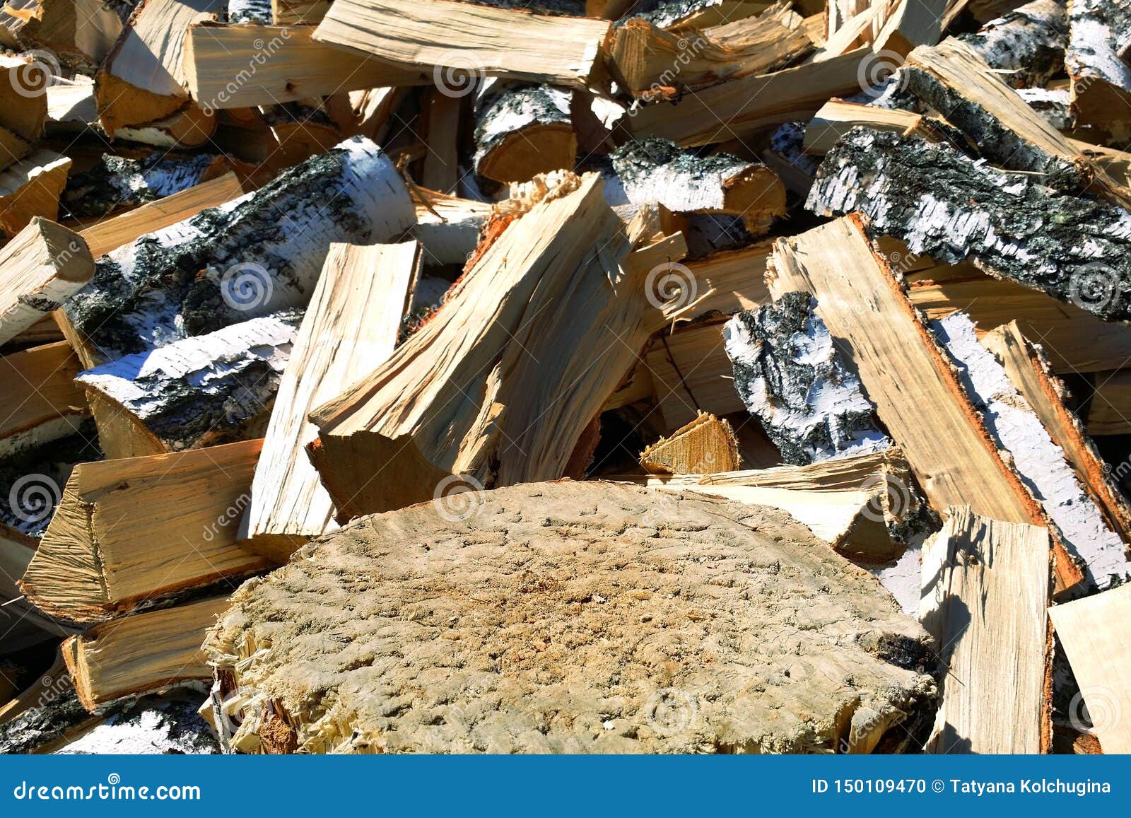 Sharp Tree Cut Stand and Background of Birch Firewood Texture Stock ...