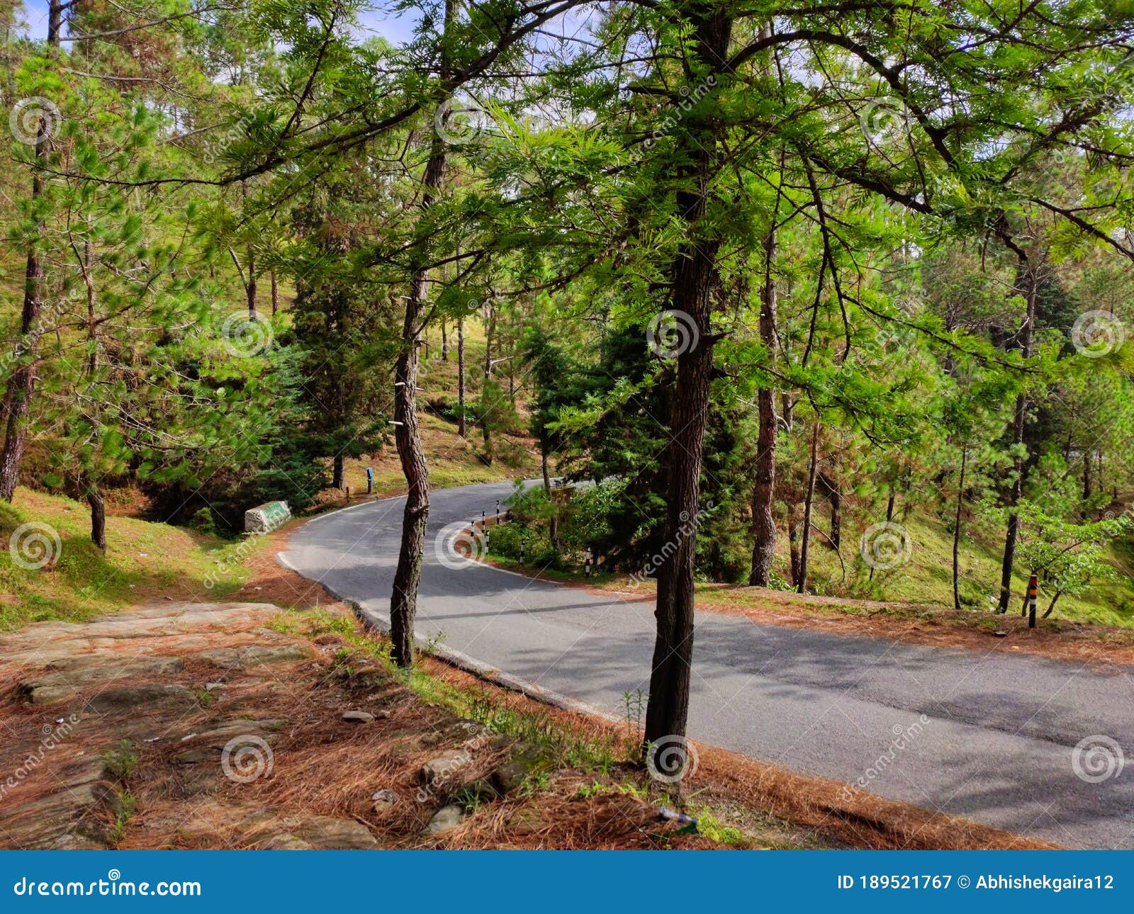 Sharp Turns in Roads are Risky Stock Image - Image of risky, wilderness ...