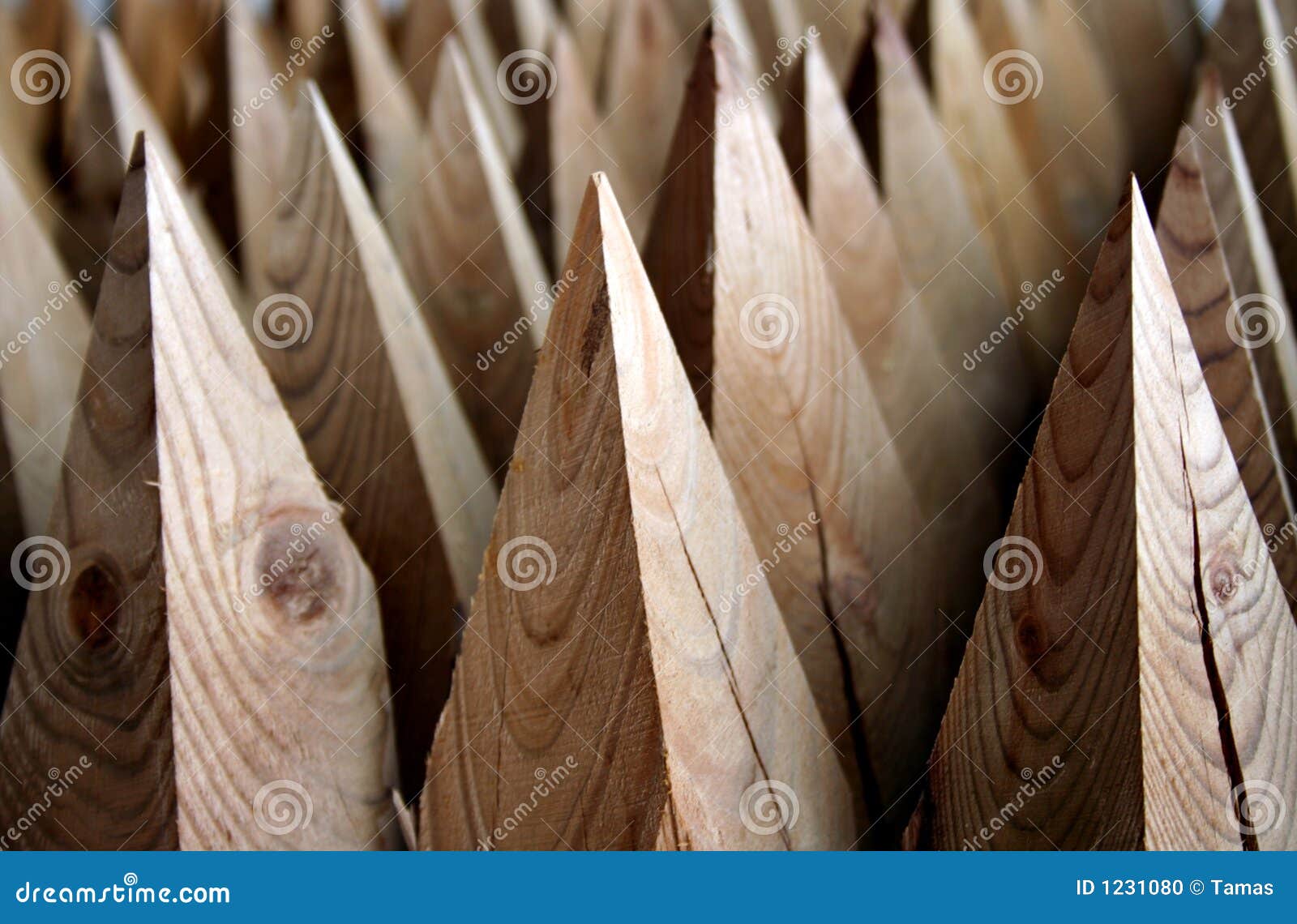 Sharp wooden posts in rows stock photo. Image of spear - 1231080