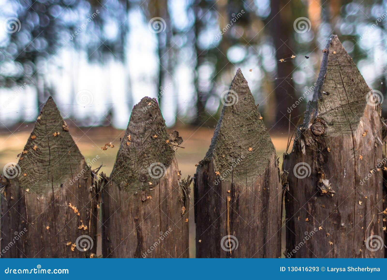 Sharp wooden stakes stock image. Image of bark, fence - 130416293
