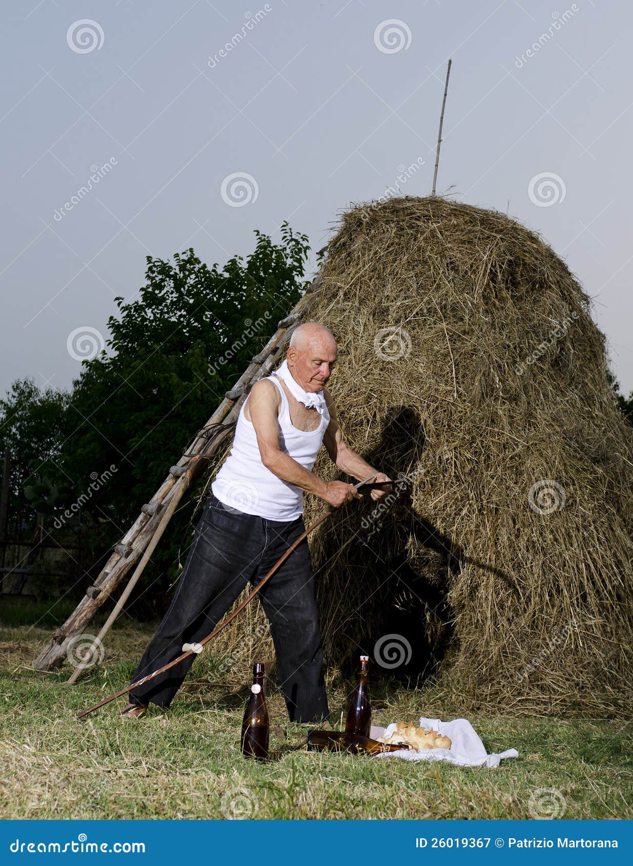 Sharpen the Sickle after Harvest. Stock Image - Image of sardinia ...