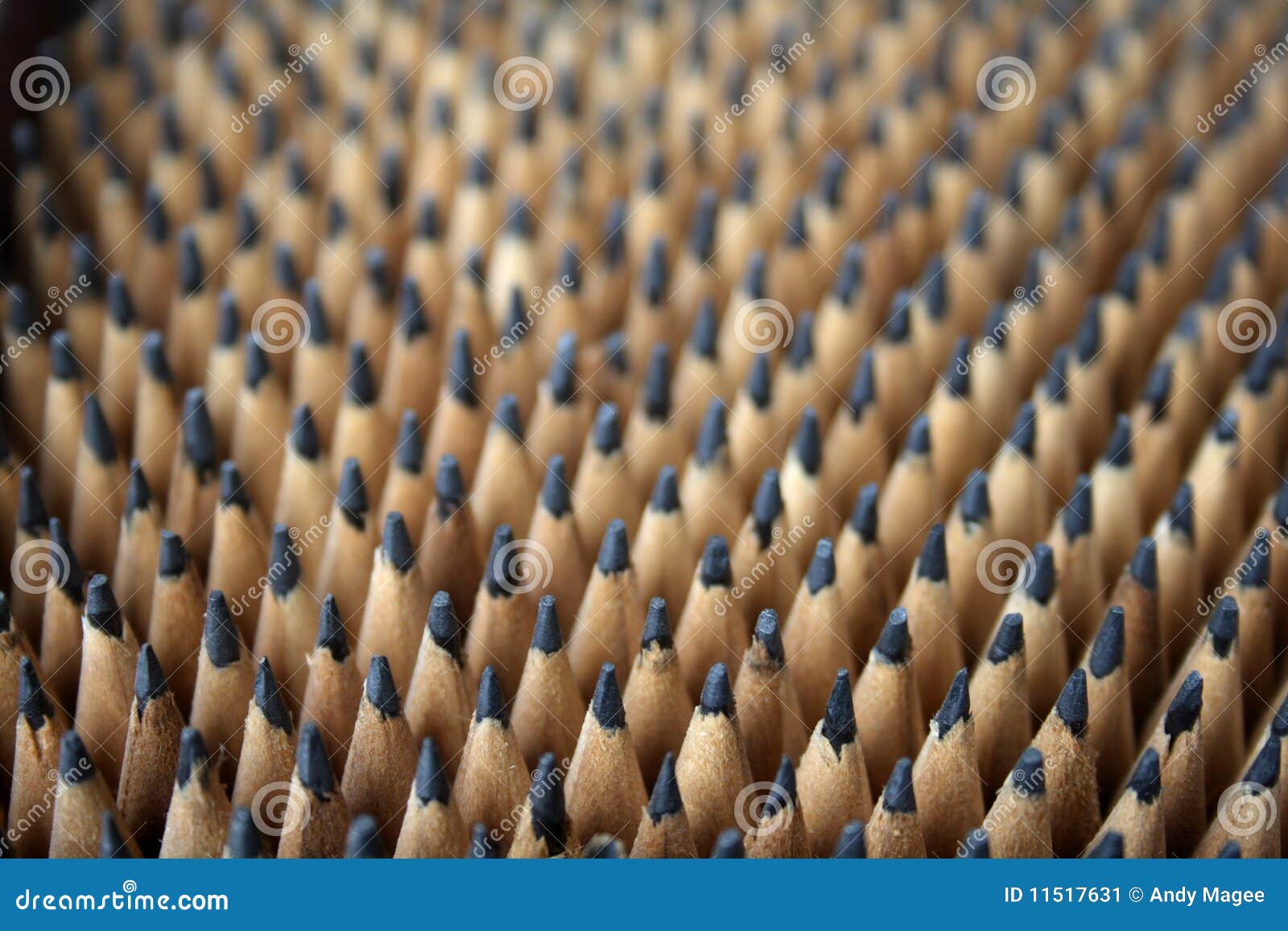Sharpened Pencil Background Stock Image - Image of wood, pattern: 11517631